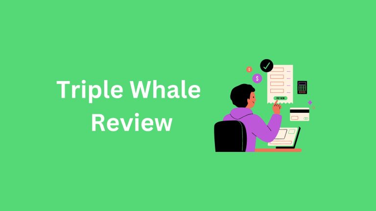 Triple Whale Review: Is it worth it? - Tajedo