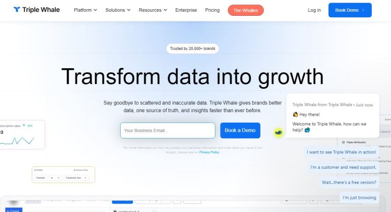 Triple Whale Review: Is it worth it? - Tajedo